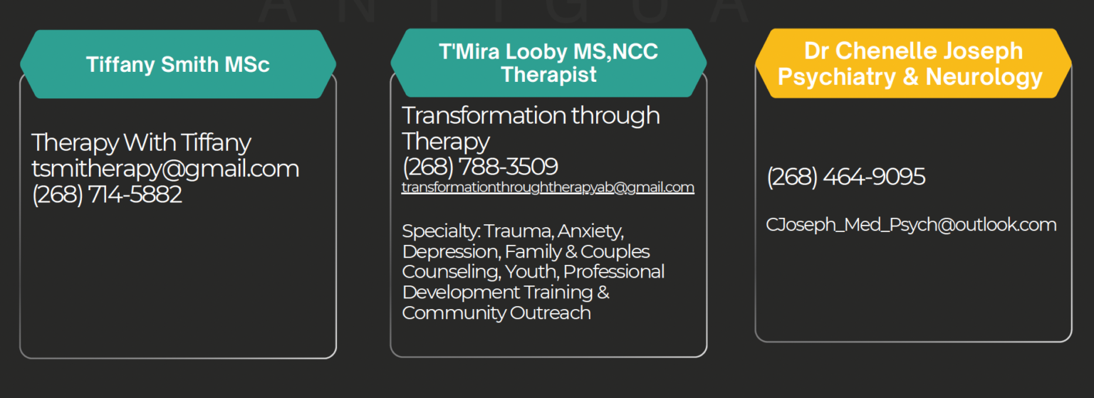 Mental Health Provider Directory - Ministry of Health, Wellness and ...